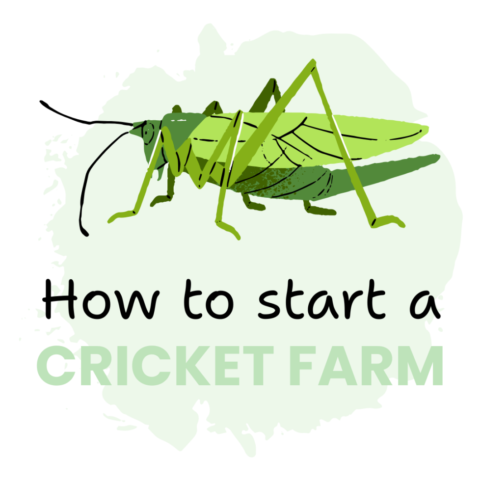 How to start a cricket farm - Crickets